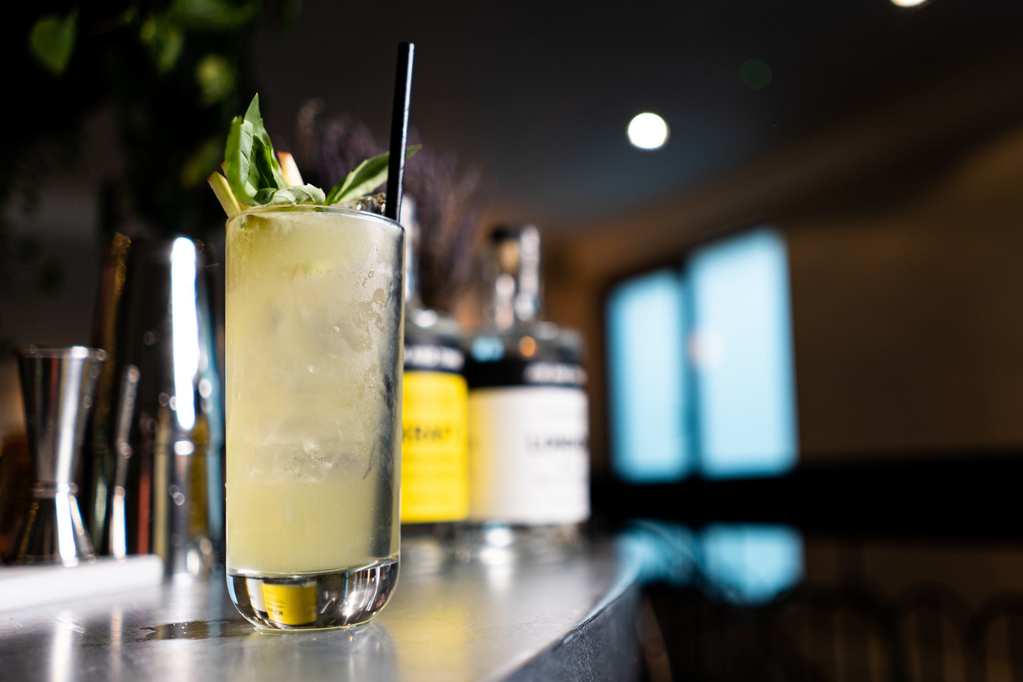 Apple Fandango Gin Cocktail – Jim & Tonic